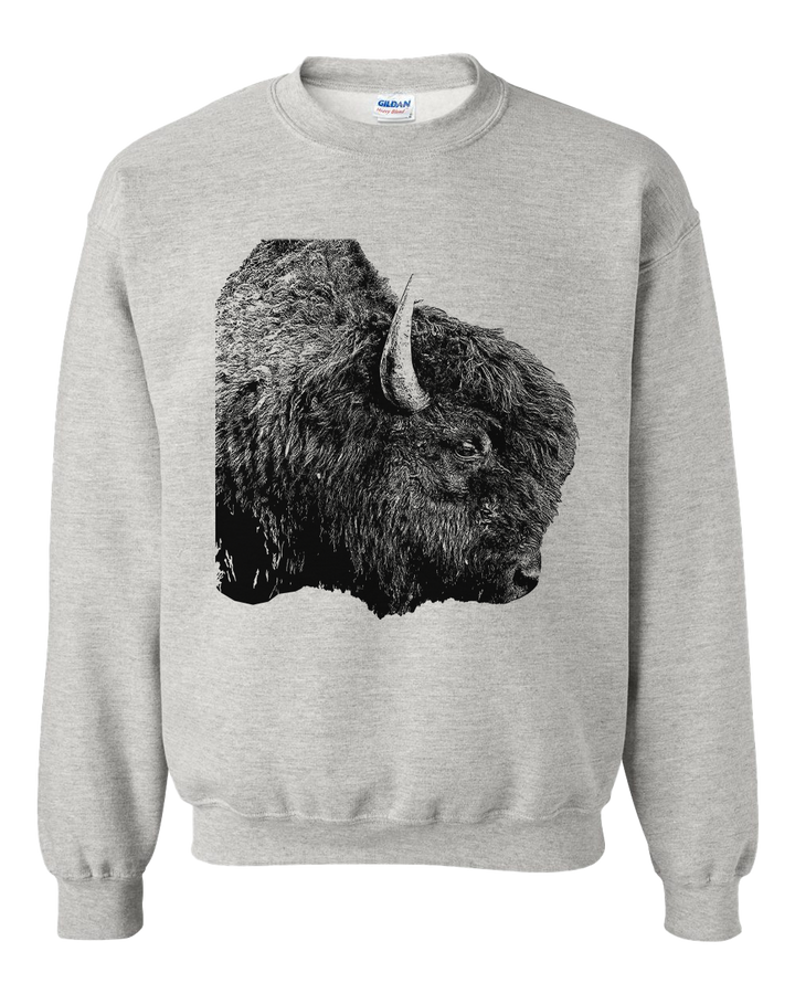 Cross Timbers Bison